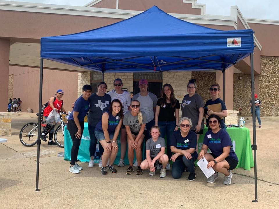 About | Dallas Pets Alive!