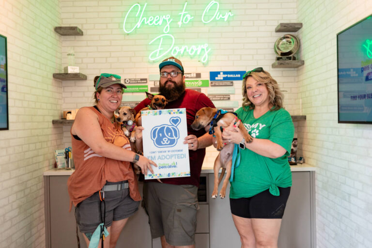 Dallas Pets Alive! | Saving Lives In Dallas
