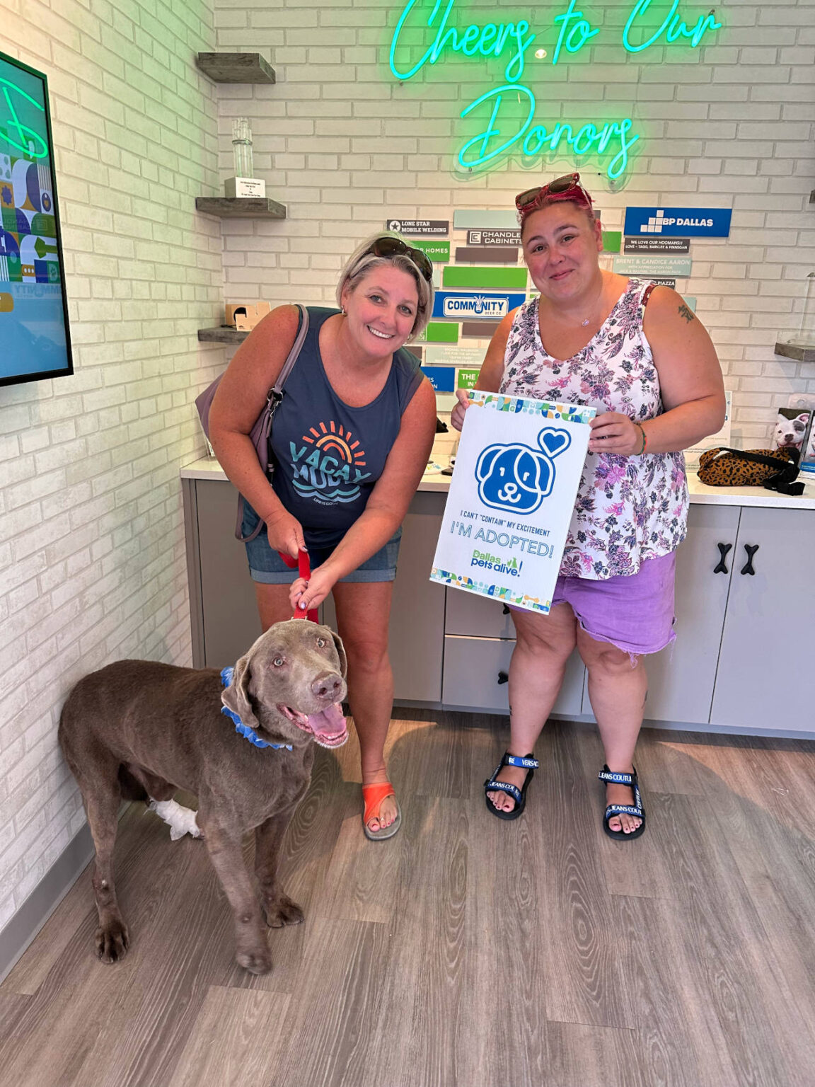 Dallas Pets Alive! | Saving Lives In Dallas